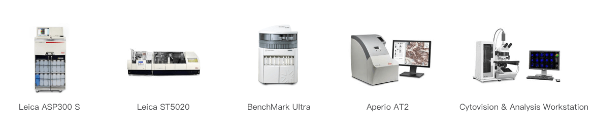 奥测医疗-中国一家践行整合诊断理念的诊断公司